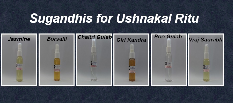 Welcome To Pushti Shringar